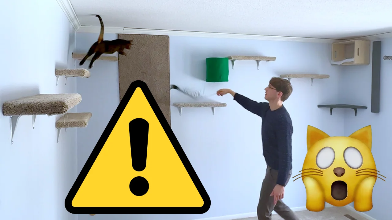 DIY Cat Wall Shelves - Easy Design (with Pictures/Video)